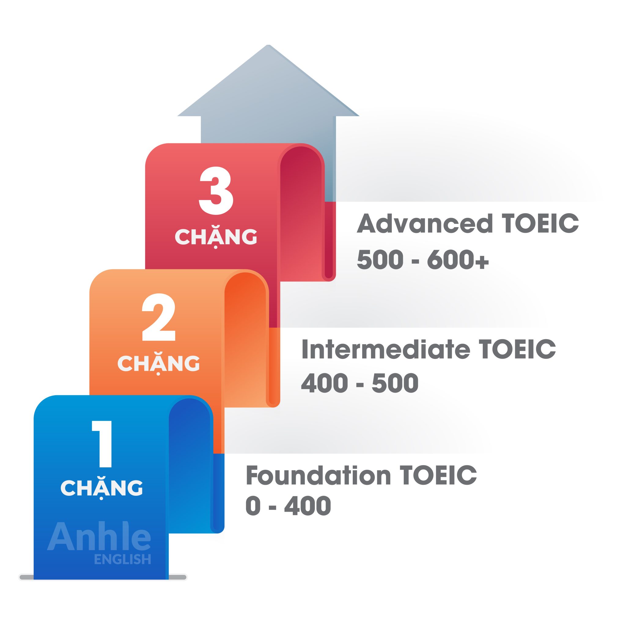 Lộ Trình ôn Thi TOEIC Cho Người Mới Bắt đầu Từ
